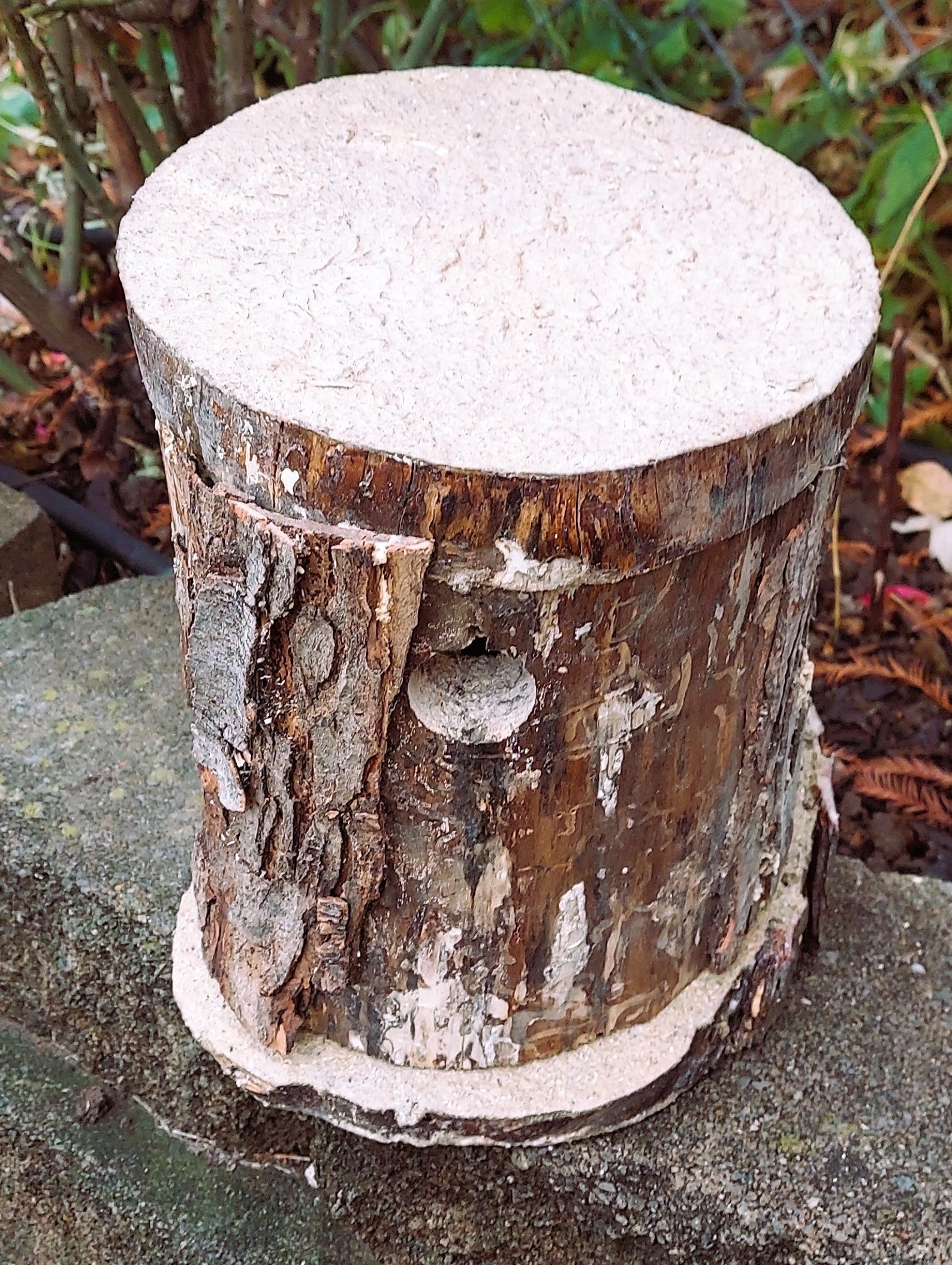 Hollow Log Birdhouse 22-9 "lil Slant" - Hand Crafted Quality Birdhouses ...