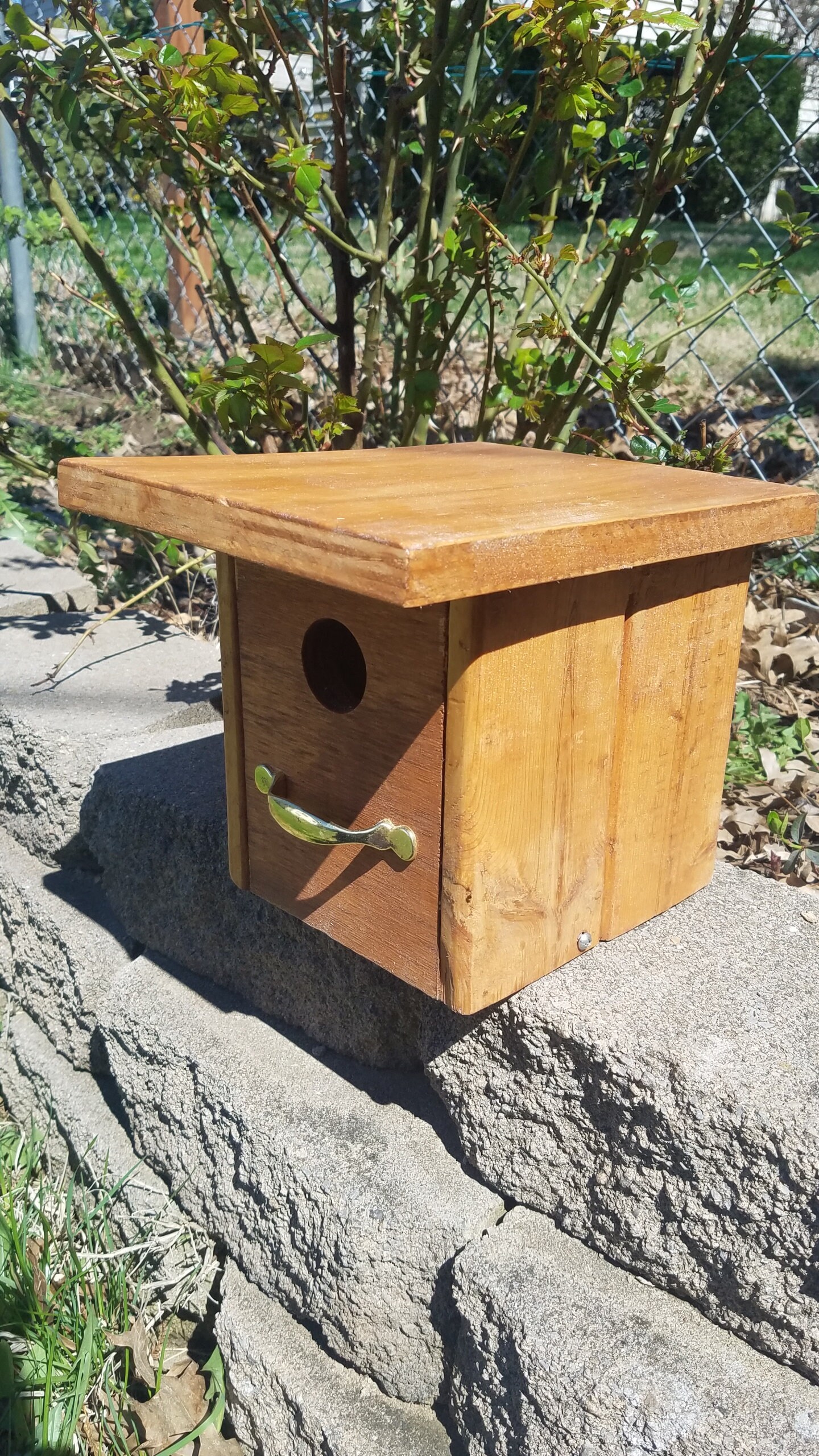 The Carry Box HANDMADE QUALITY BIRDHOUSES Unique Quirky - Etsy Australia