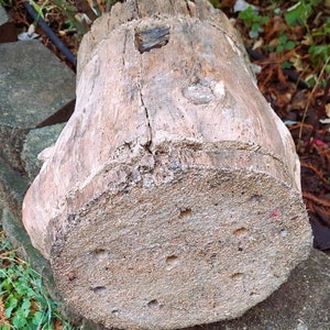 Hollow Log Birdhouse 22-10 - Hand Crafted Quality Birdhouses- Unique ...
