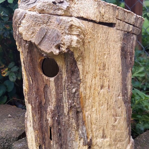 Hollow Log - Etsy