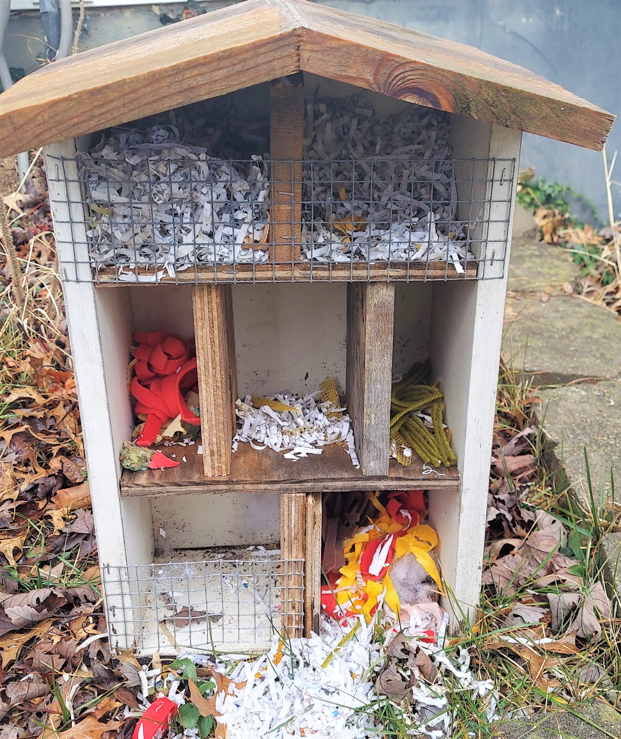 Nesting Materials Cones, Boxes & Houses Quirky Birdhouses Provide ...