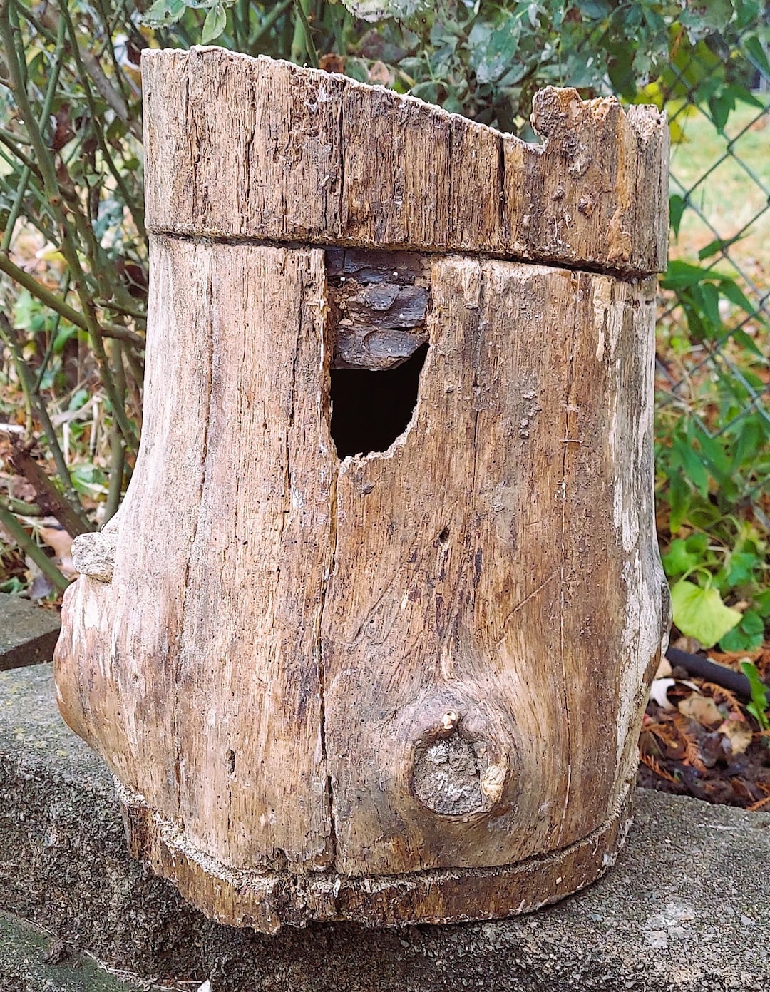 Hollow Log Birdhouse 22-10 - Hand Crafted Quality Birdhouses- Unique ...