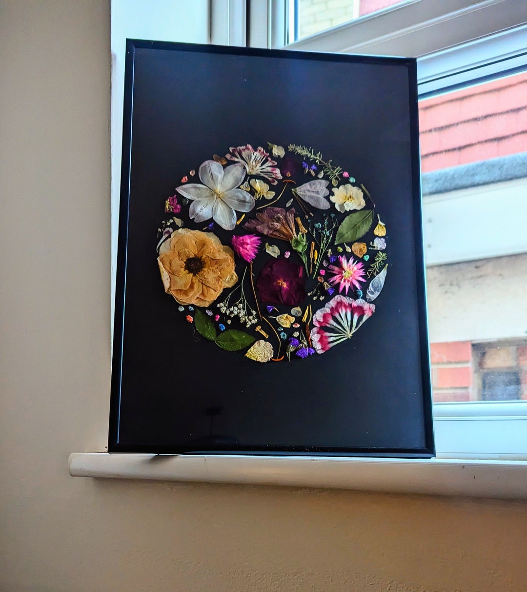 Real Pressed Flower Art Framed | Rose | Carnation | Daisy | Tulip ...