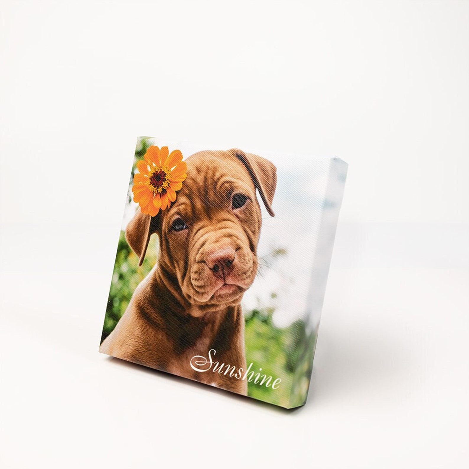 Custom Wall Art With Your Own Photo, Personalized Photo Canvas Prints ...