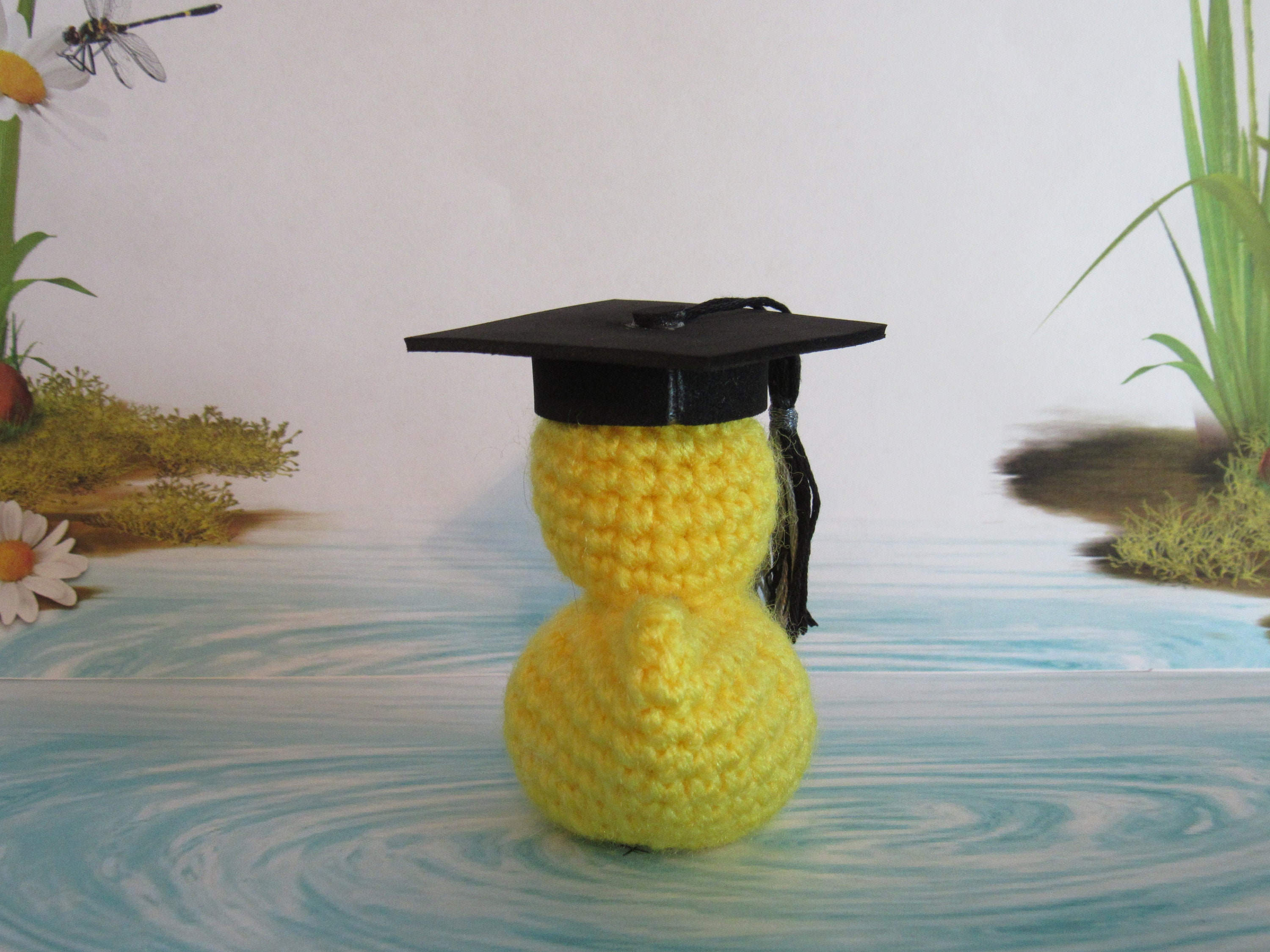 Graduation Duck - Etsy