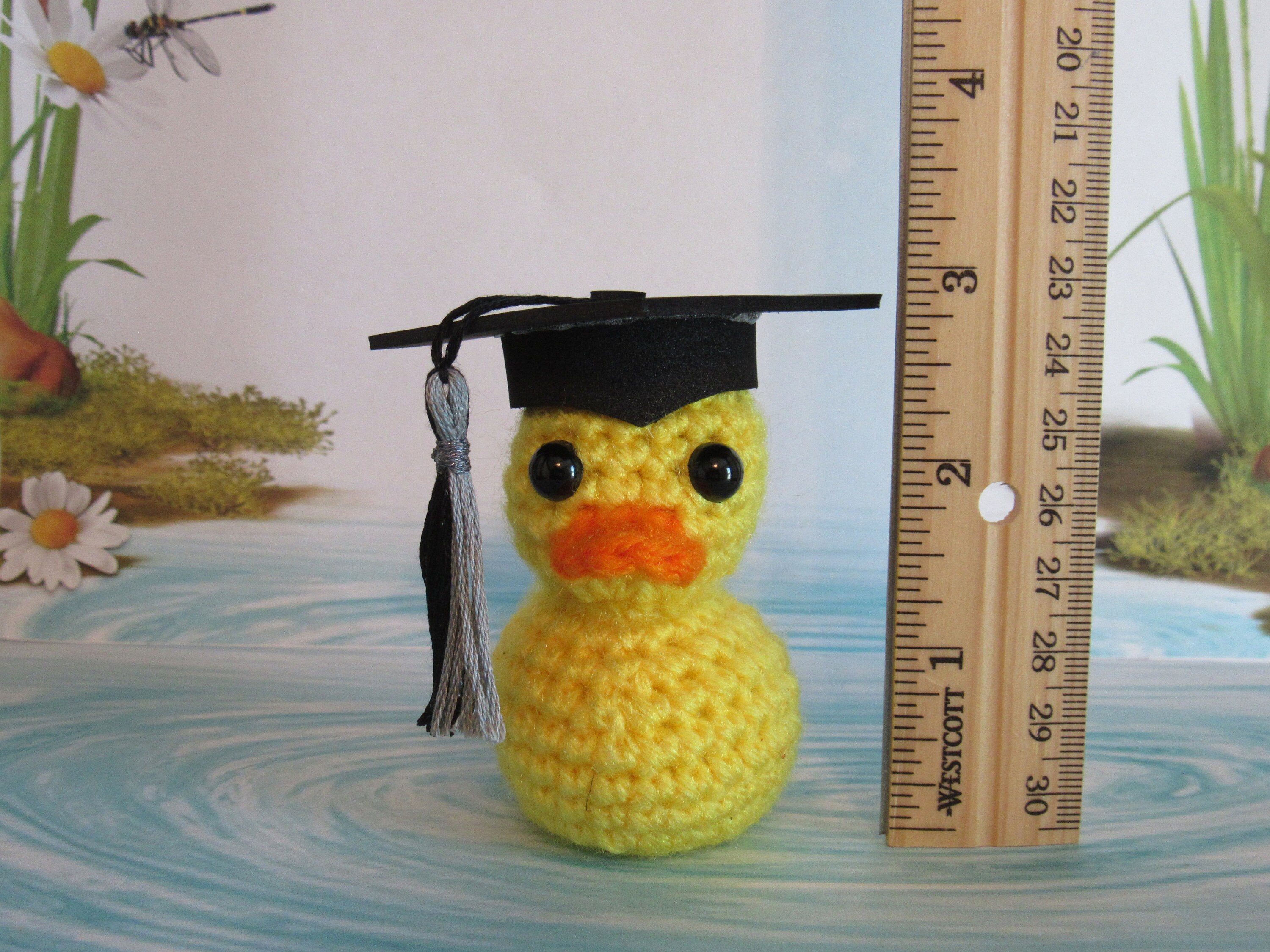 Graduation Duck - Etsy