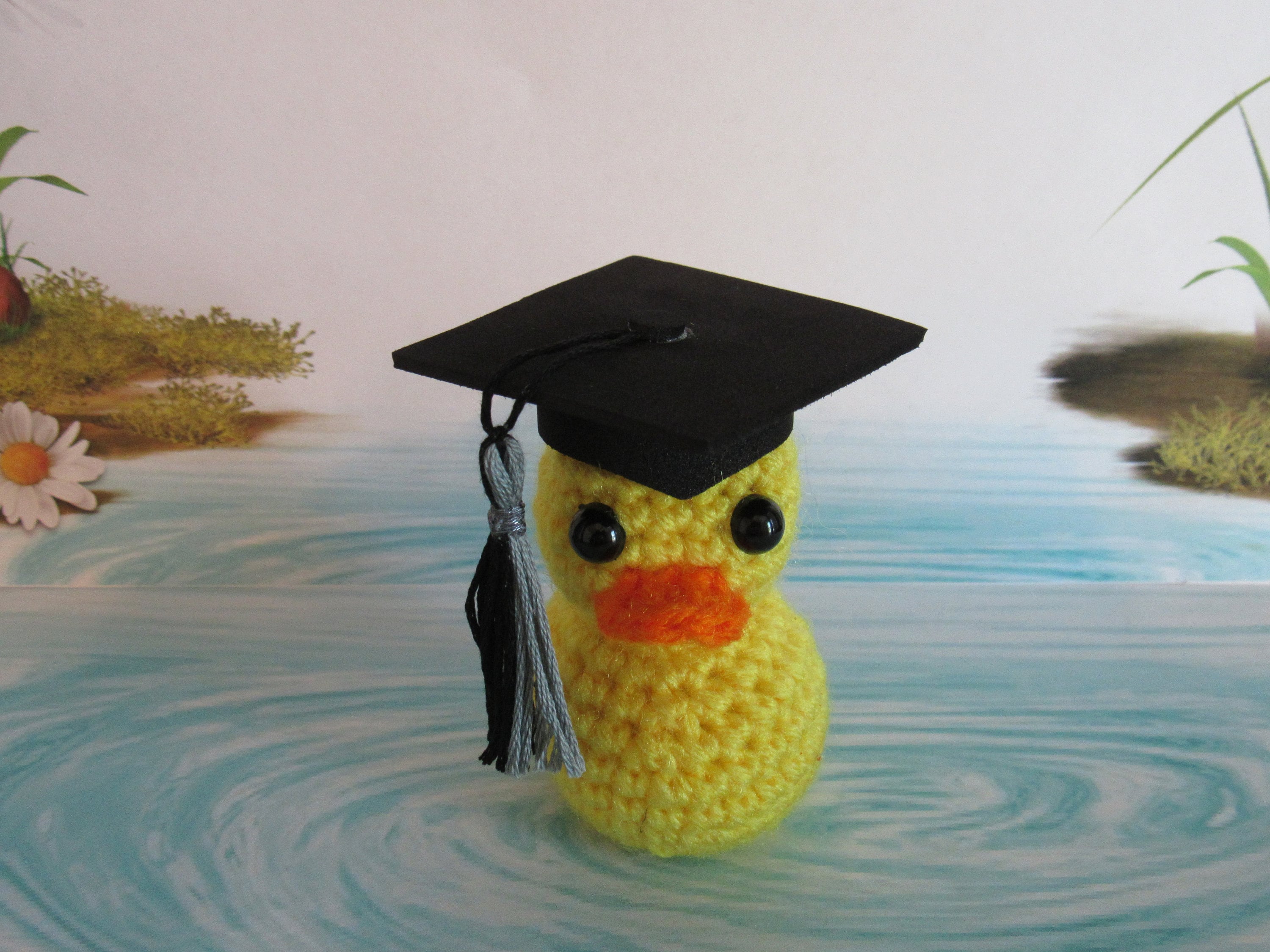 Graduation Duck - Etsy