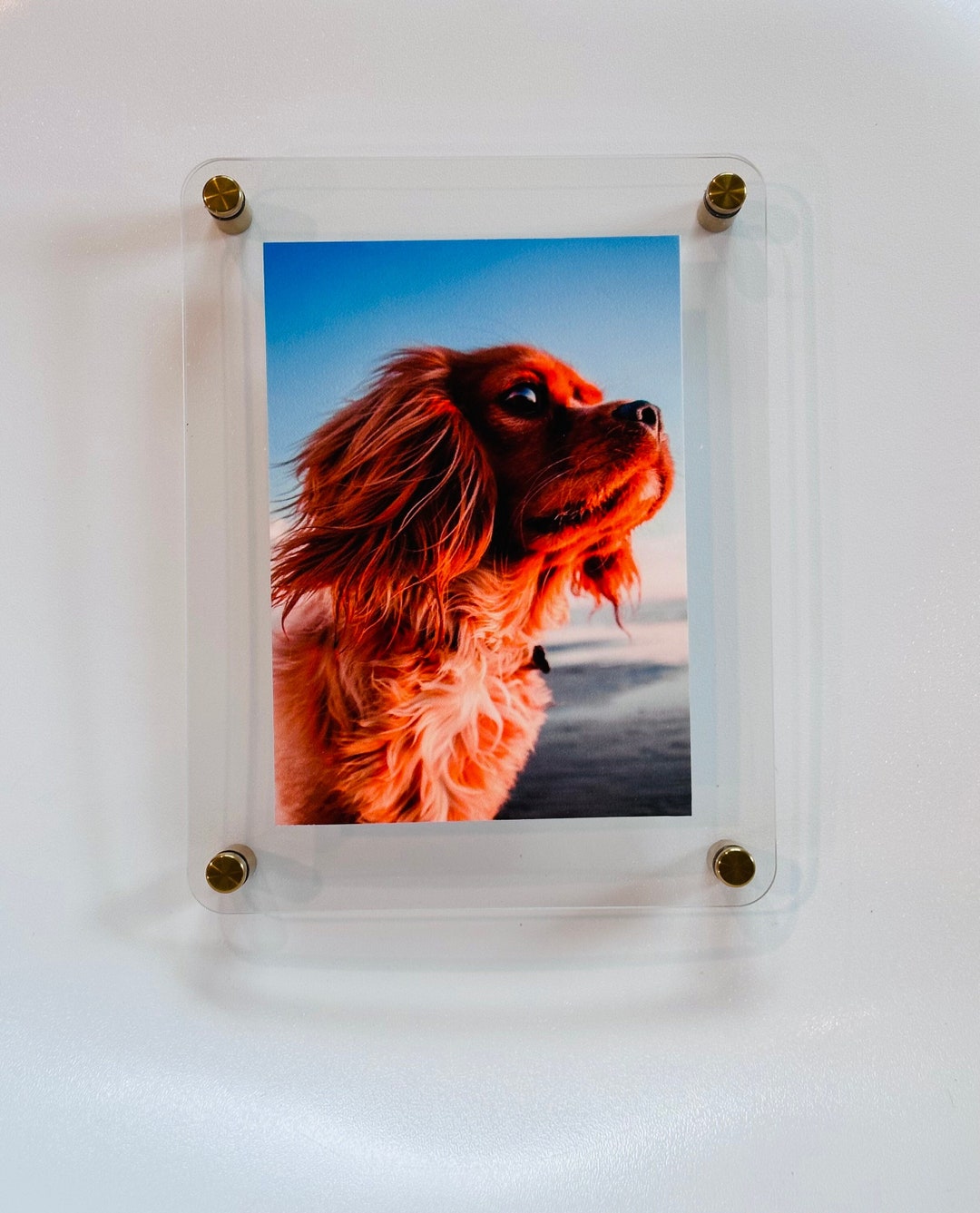 Modern Floating Clear Acrylic Frames - Round Corners - Standoff .5 ...