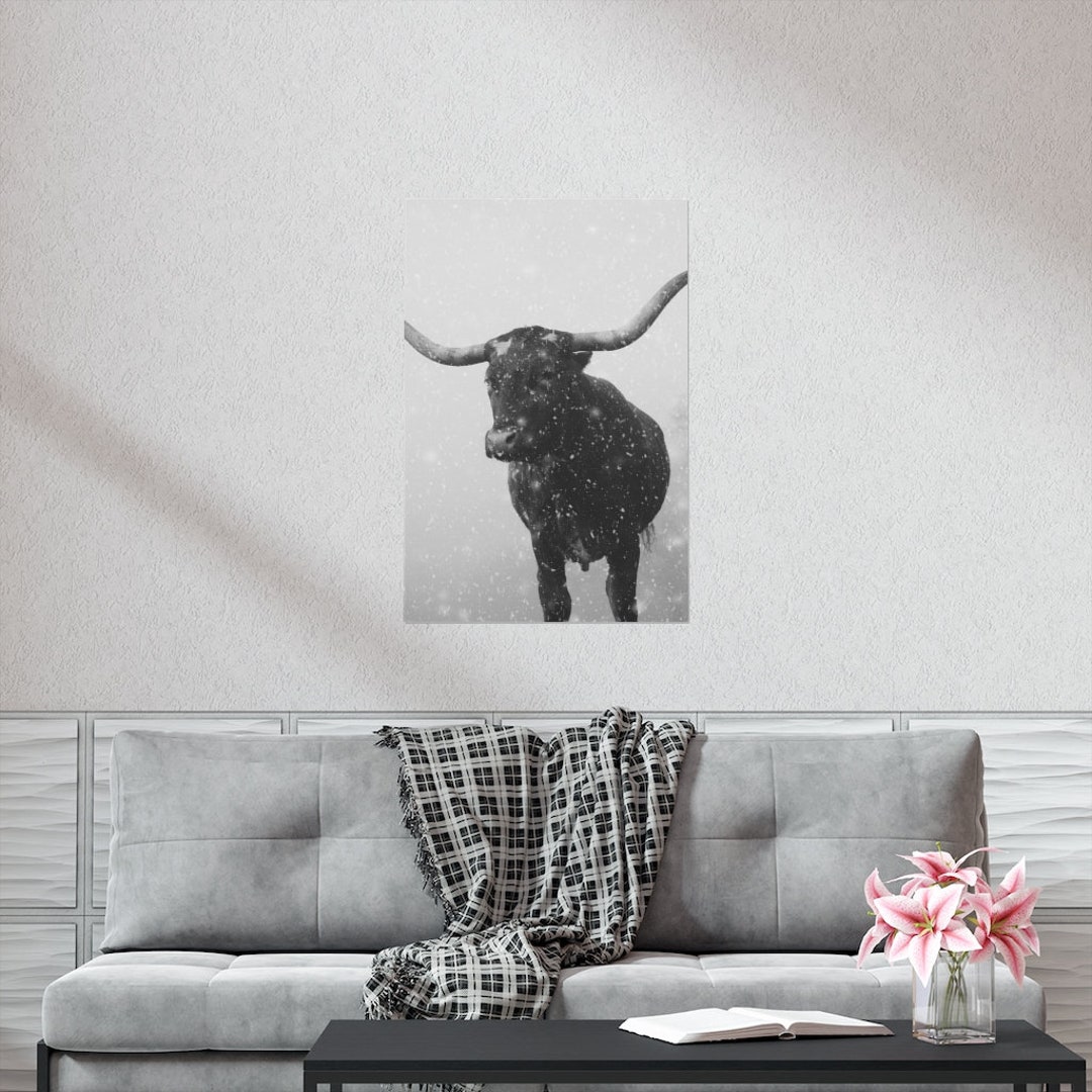 Black and White Longhorn Cow Photo Premium Poster, Longhorn Photography ...