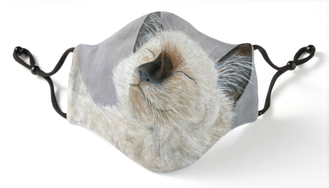 Ragdoll Kitten Whimsical Face Mask Cat Lover's Gift. Kids and Adults ...