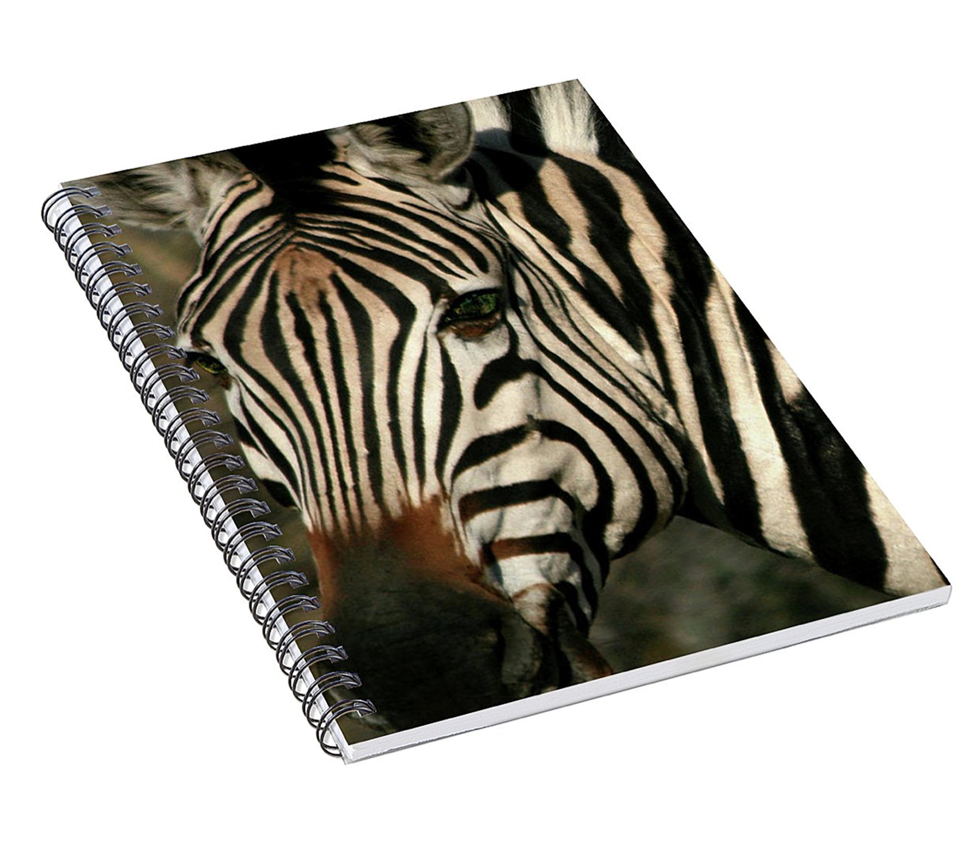 Zebra Eye Close up Notebook. Zebra Face Safari Lovers Notebook. Zebra ...