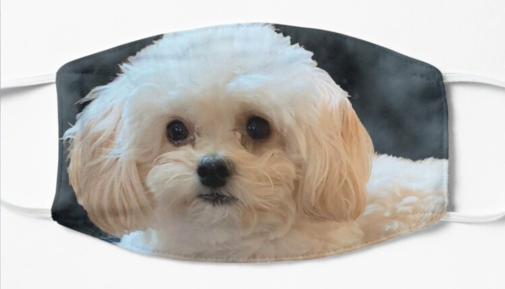 Maltipoo Dog Face Mask. Maltese Poodle Mix Dog in Adults and - Etsy