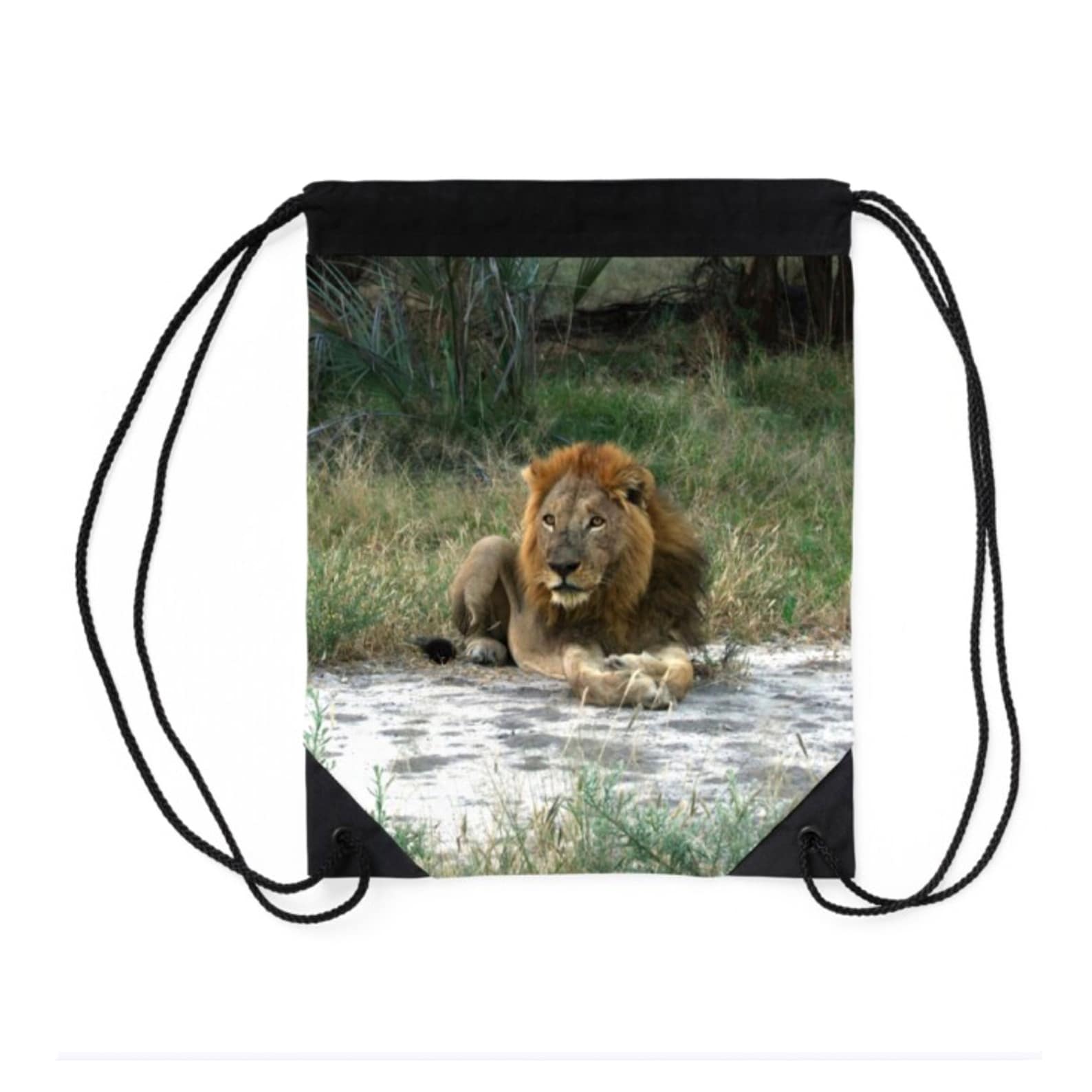 African Lion Drawstring Bag. Zimbabwe, South Africa - Etsy