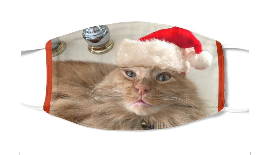 Orange Tabby Cat Santa Hat Face Mask, Pet Lover Gift - Etsy
