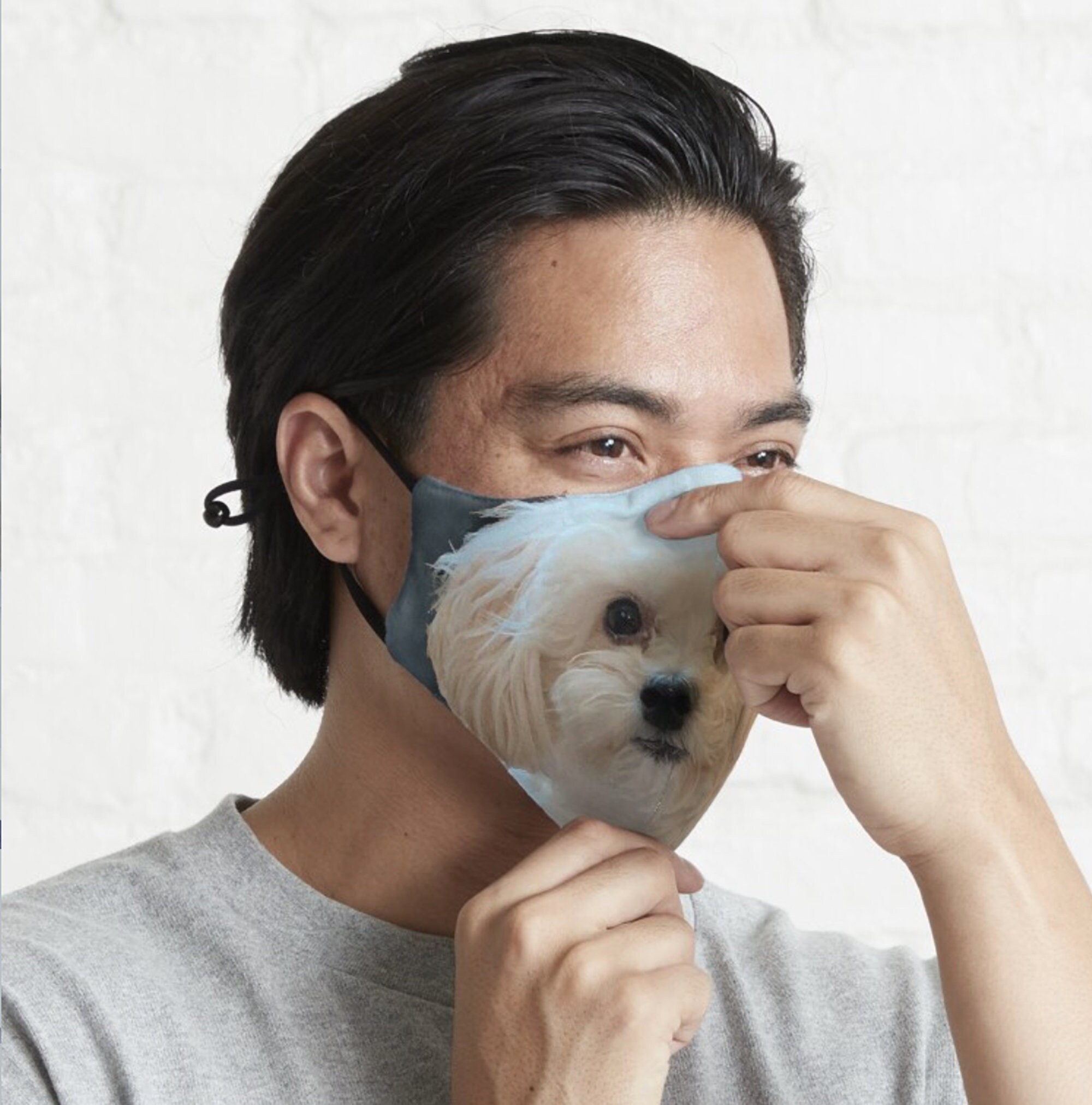 Maltipoo Dog Face Mask. Maltese Poodle Mix Dog in Adults and Kids Sizes ...