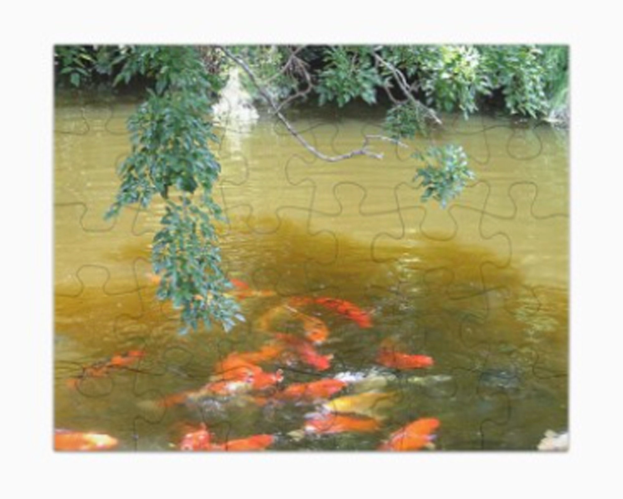 Koi Fish in Pond Jigsaw Puzzle. Foliage Cascading Over Water. - Etsy