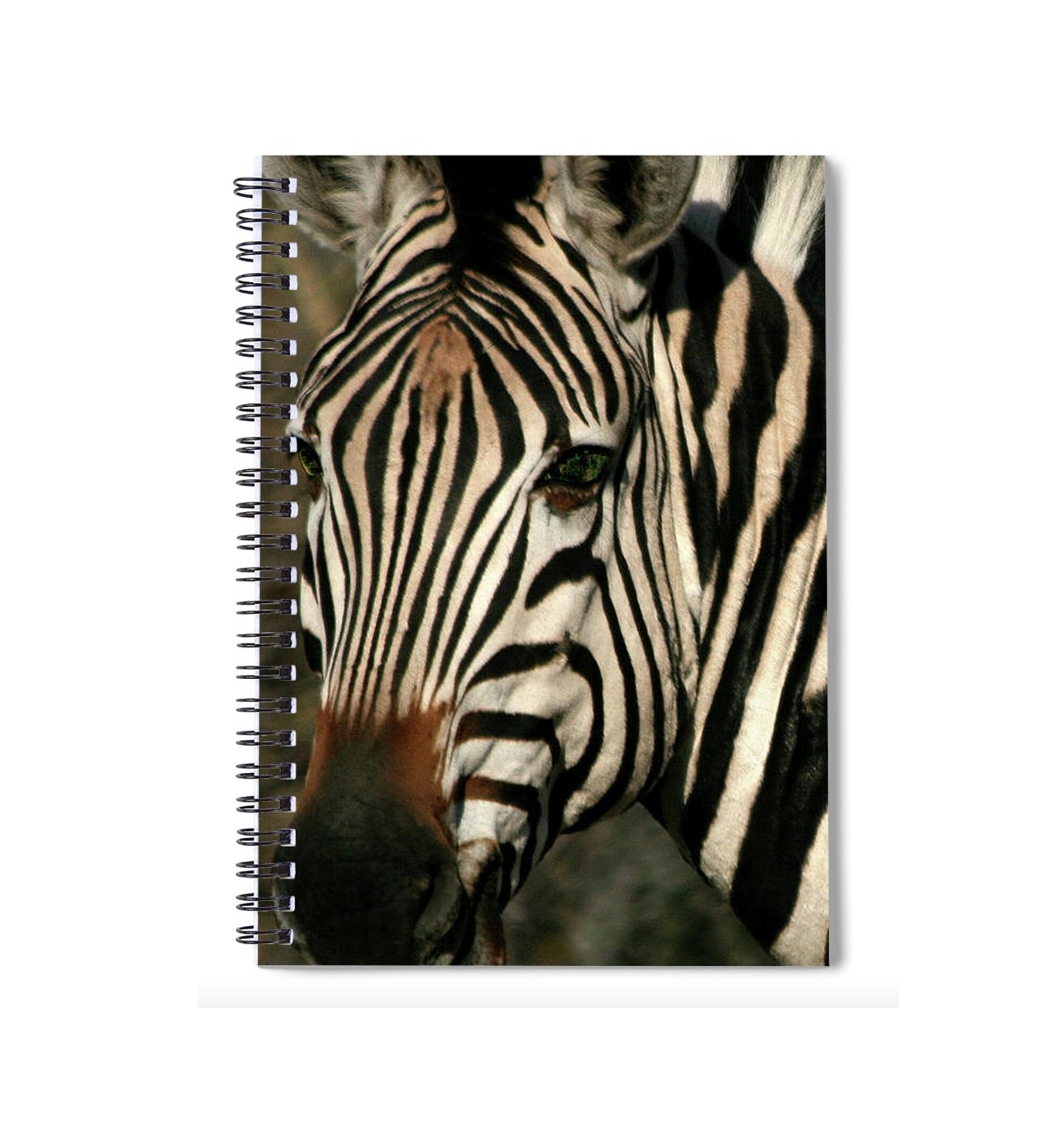 Zebra Eye Close up Notebook. Zebra Face Safari Lovers Notebook. Zebra ...