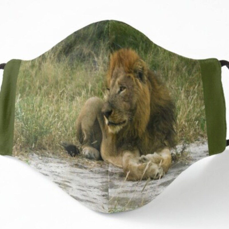 Lion Face Mask - Etsy