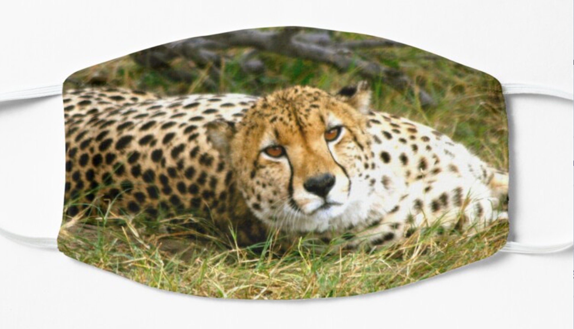 South African Cheetah Face Mask Safari Lover's Gift. Big - Etsy