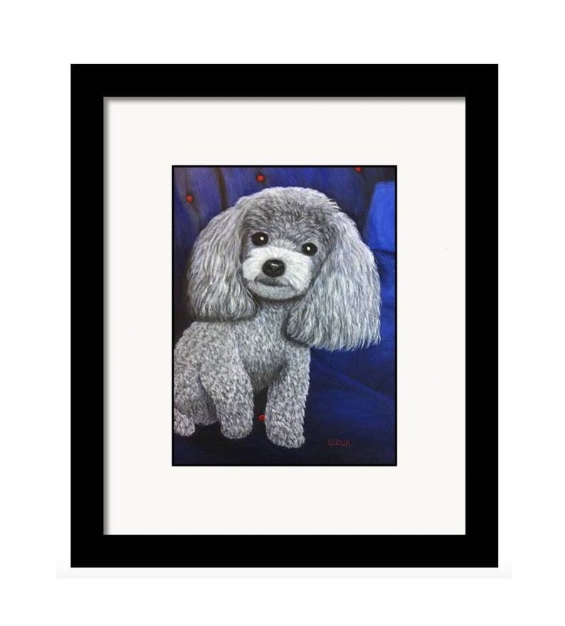 Miniature Poodle Art Print: Teacup Poodle on Royal Blue Sofa - Etsy