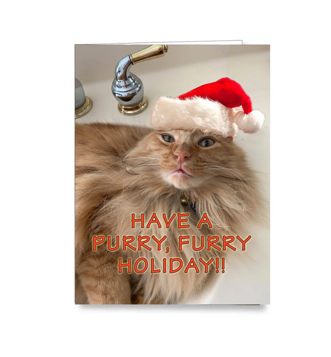 Ginger Cat Holiday Greeting Card. Ginger Cat Art. Long Haired Orange ...