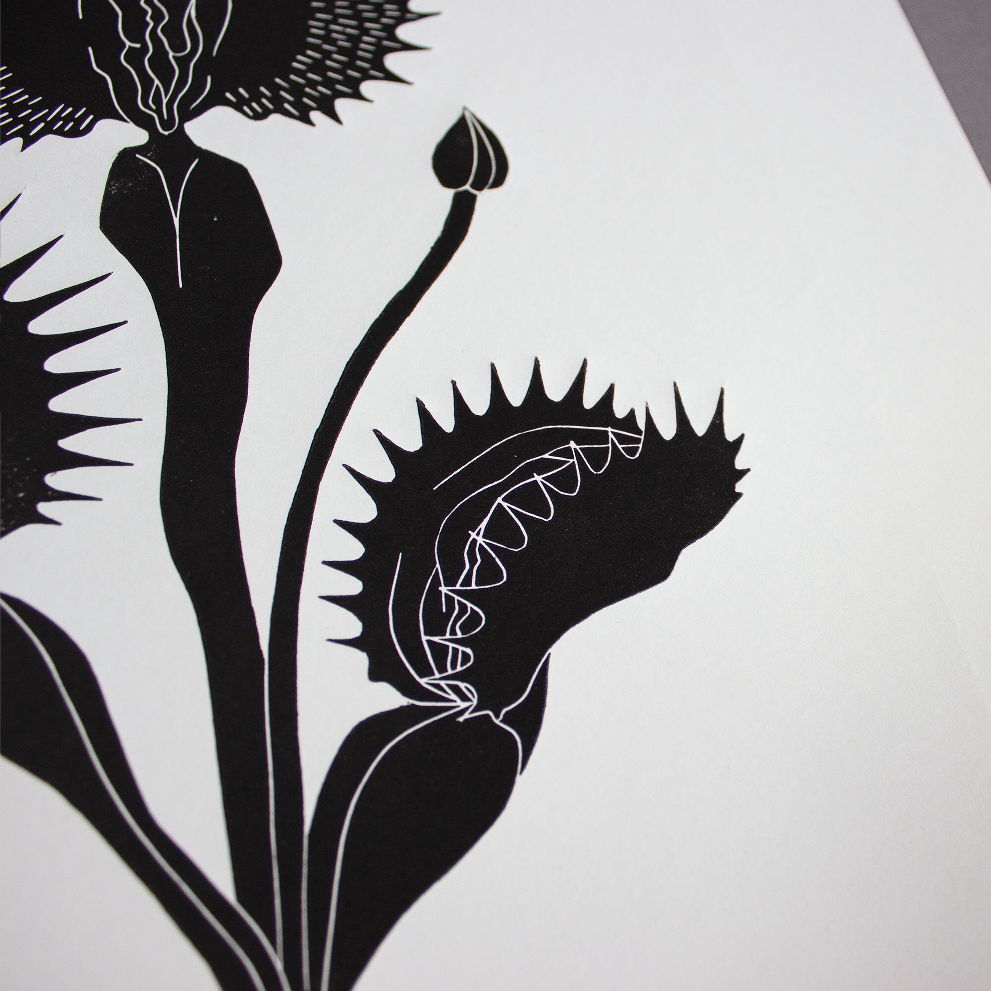 Venus Vulvi Lino Print Vulva Yoni Feminism Carnivore Plant Printmaking ...
