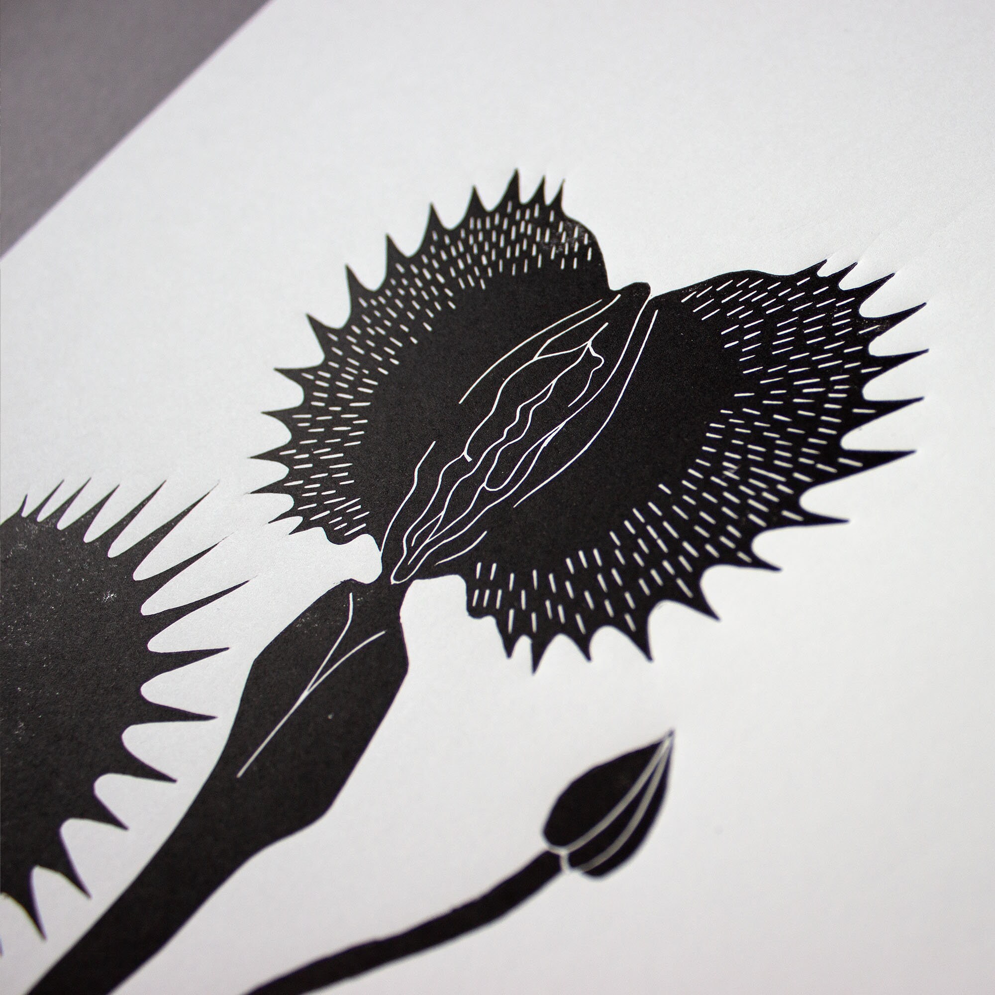 Venus Vulvi Lino Print Vulva Yoni Feminism Carnivore Plant Printmaking ...