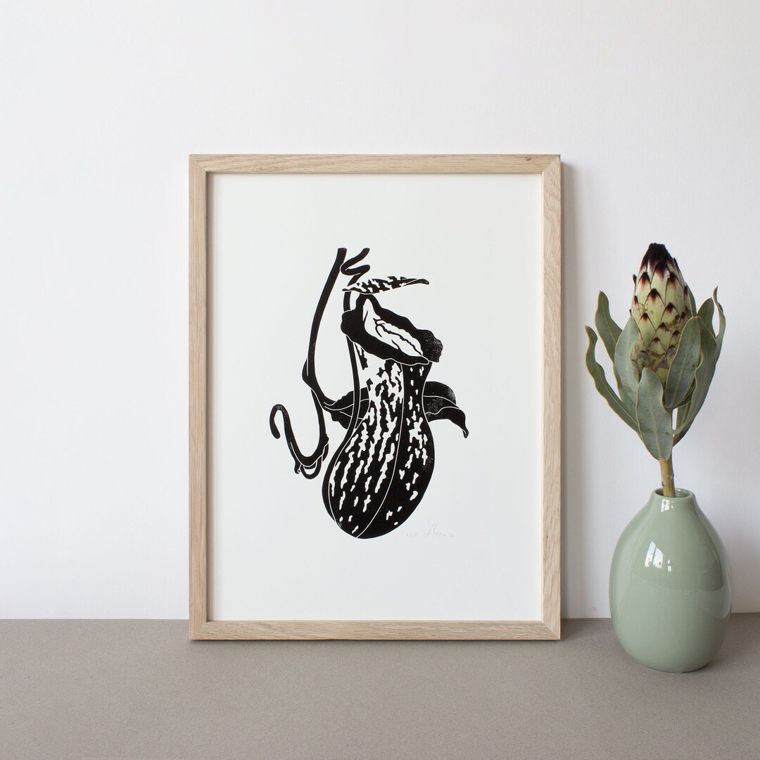 Pitcher Vulvi Lino Print Vulva Yoni Feminism Carnivore Plant ...