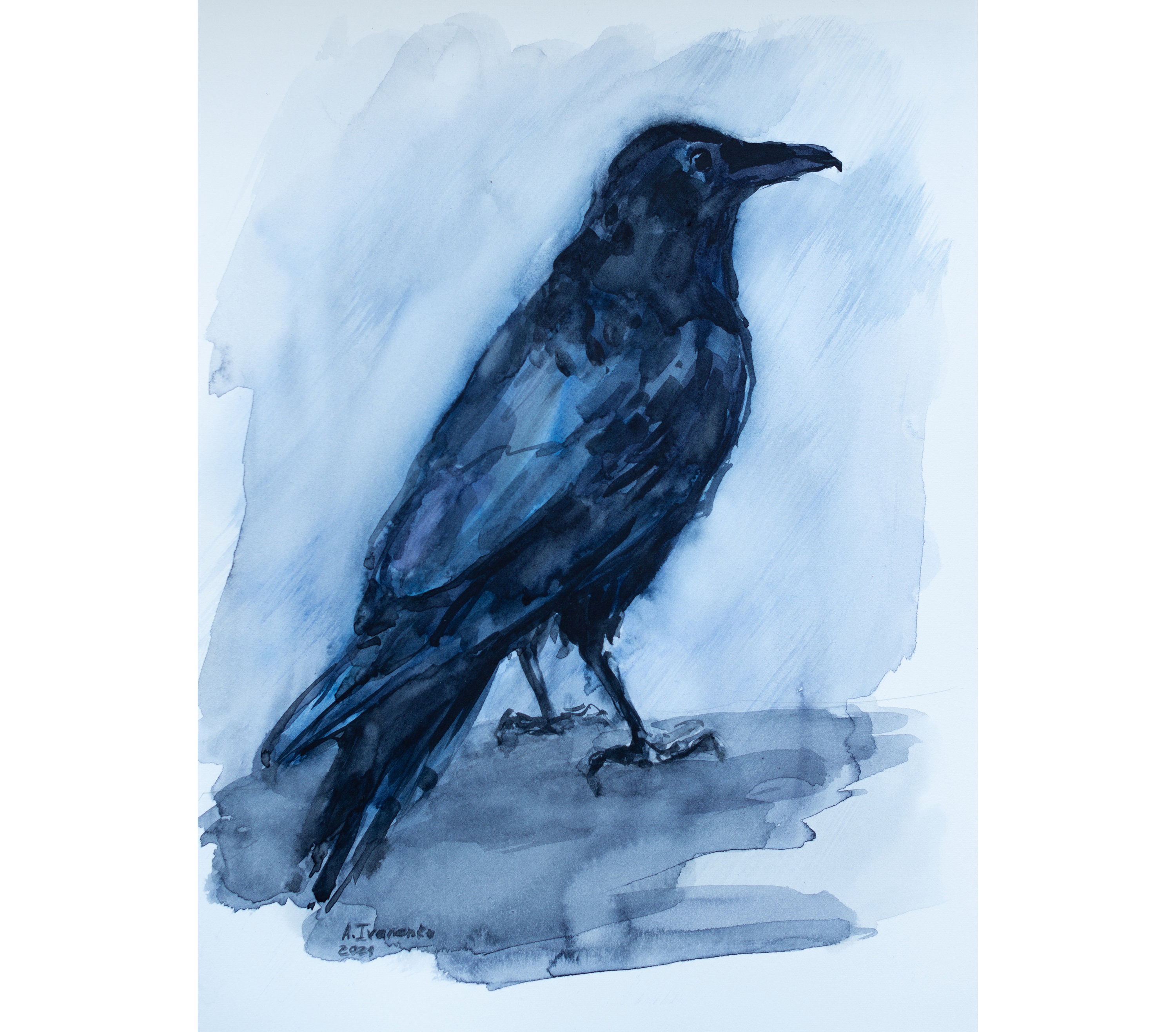 Rabe Malerei Rabe Original Kunst Aquarell Vogel Kunstwerk | Etsy