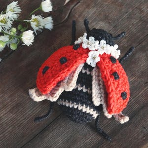 Ladybug Crochet Brooch - Digital Pdfpattern - Cute Amigurumi Beetle ...
