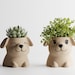 Puppypot Dog Planter Pack of 2 - for Succulent Herbs or Gifts for Pet ...