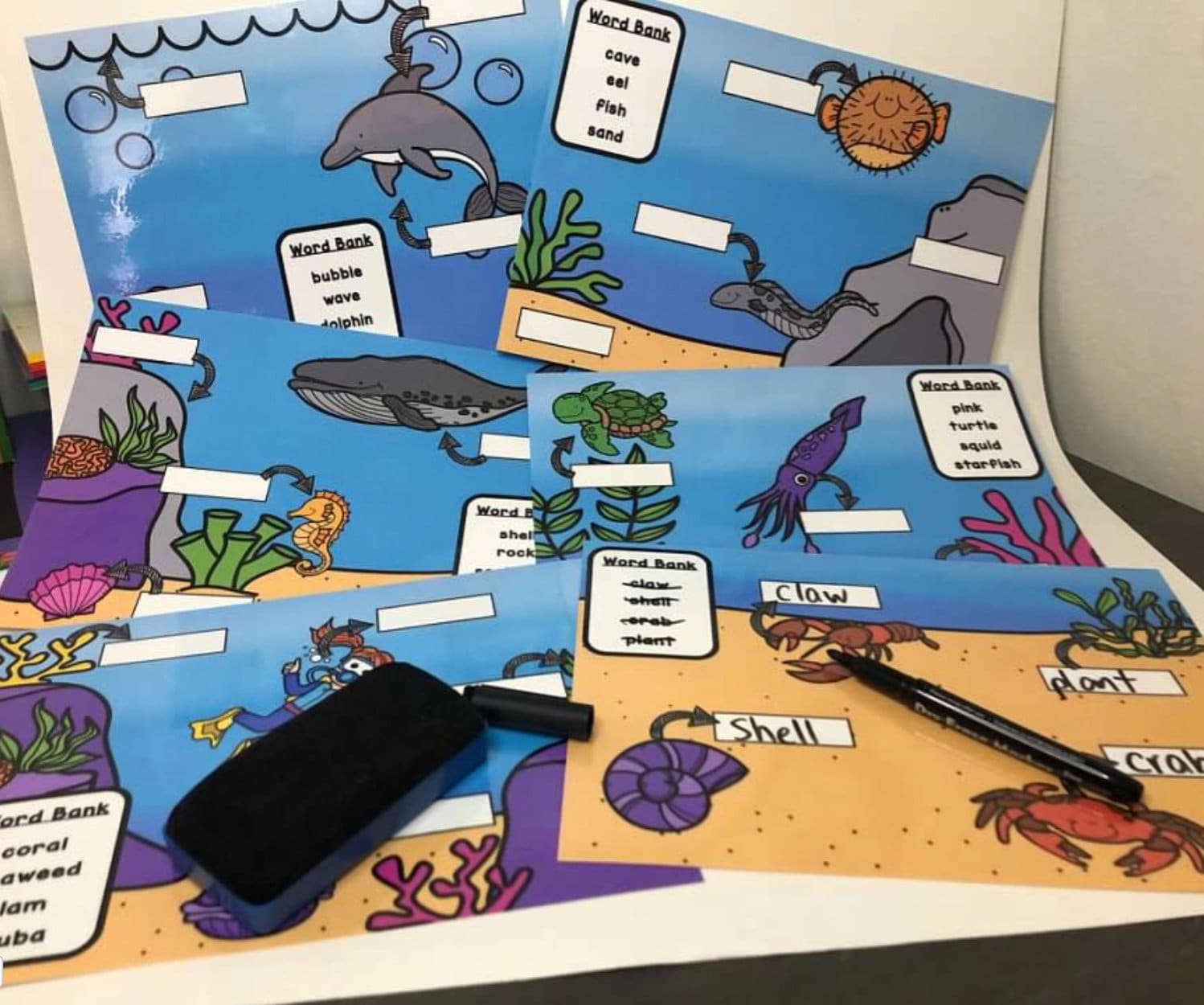 Label Picture Cards, Writing Mats, Educational Learning Activity Kits ...