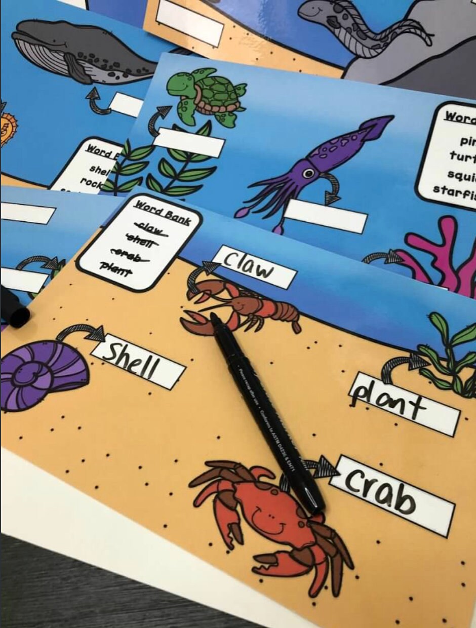 Label Picture Cards, Writing Mats, Educational Learning Activity Kits ...