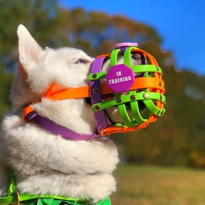 Muzzy Sign Charms | Muzzle Accessory | Muzzle Gear | Reactive Dog Gear ...