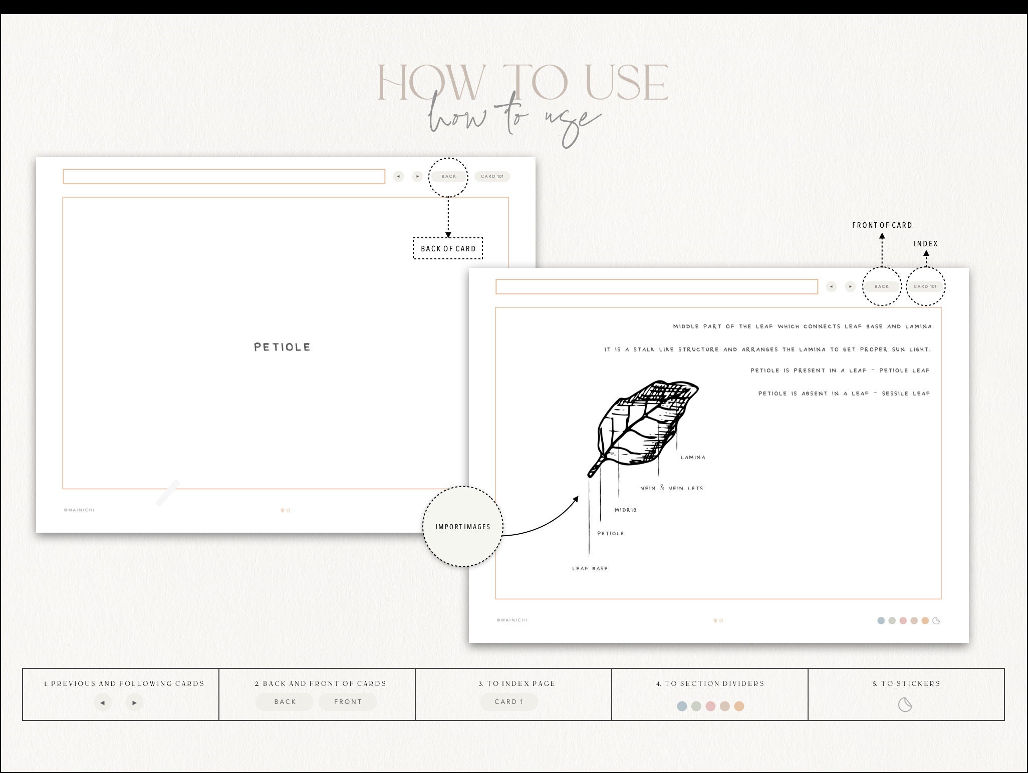 Digital Flashcards Box Design iPad Tablet Goodnotes Notability ...