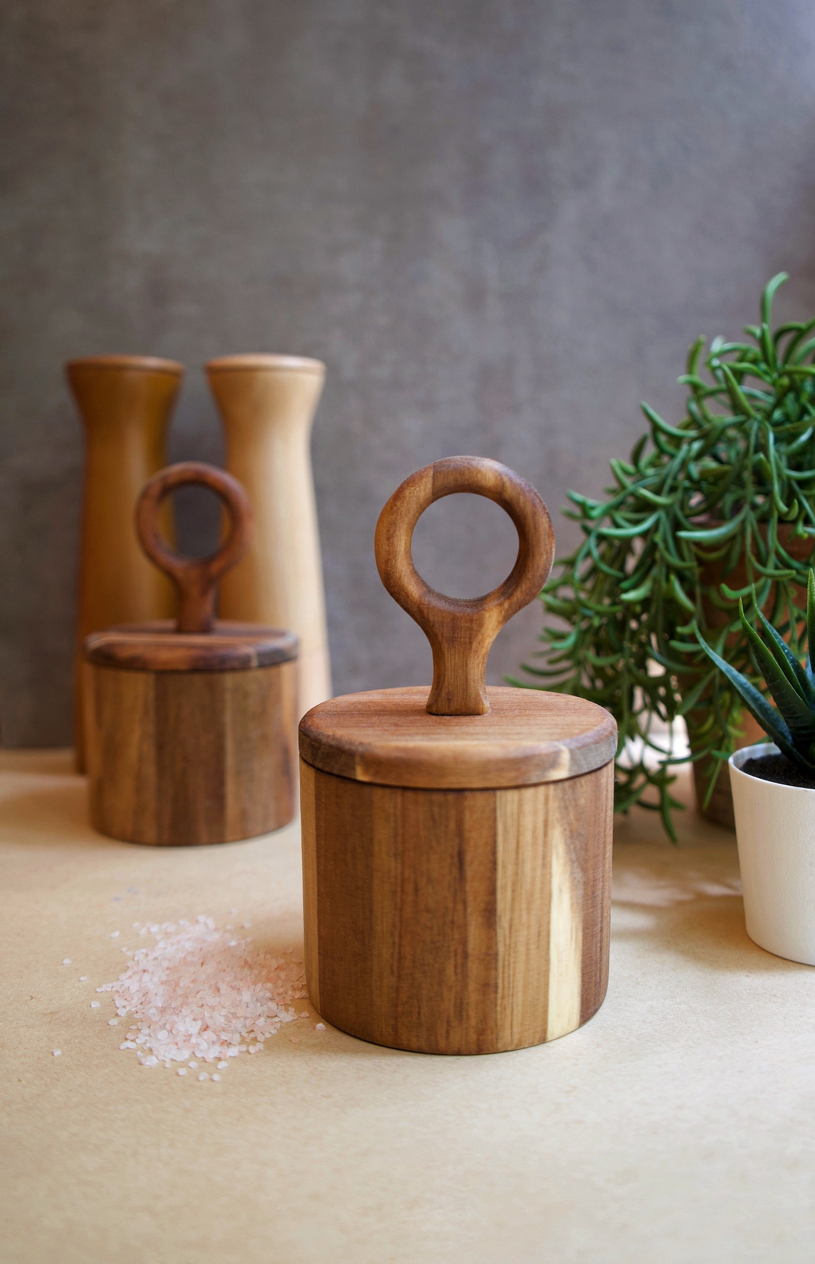 Handmade Wood Salt Cellar with Lid Handmade Salt Box | Etsy