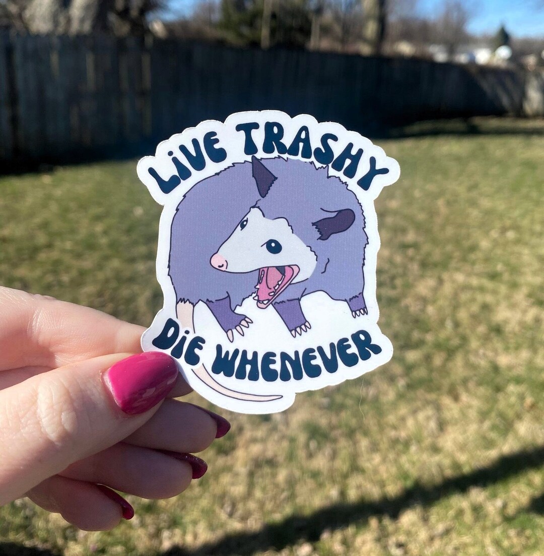 Possum Sticker | Live Trashy Die Whenever | Opossum Sticker | Sticker ...