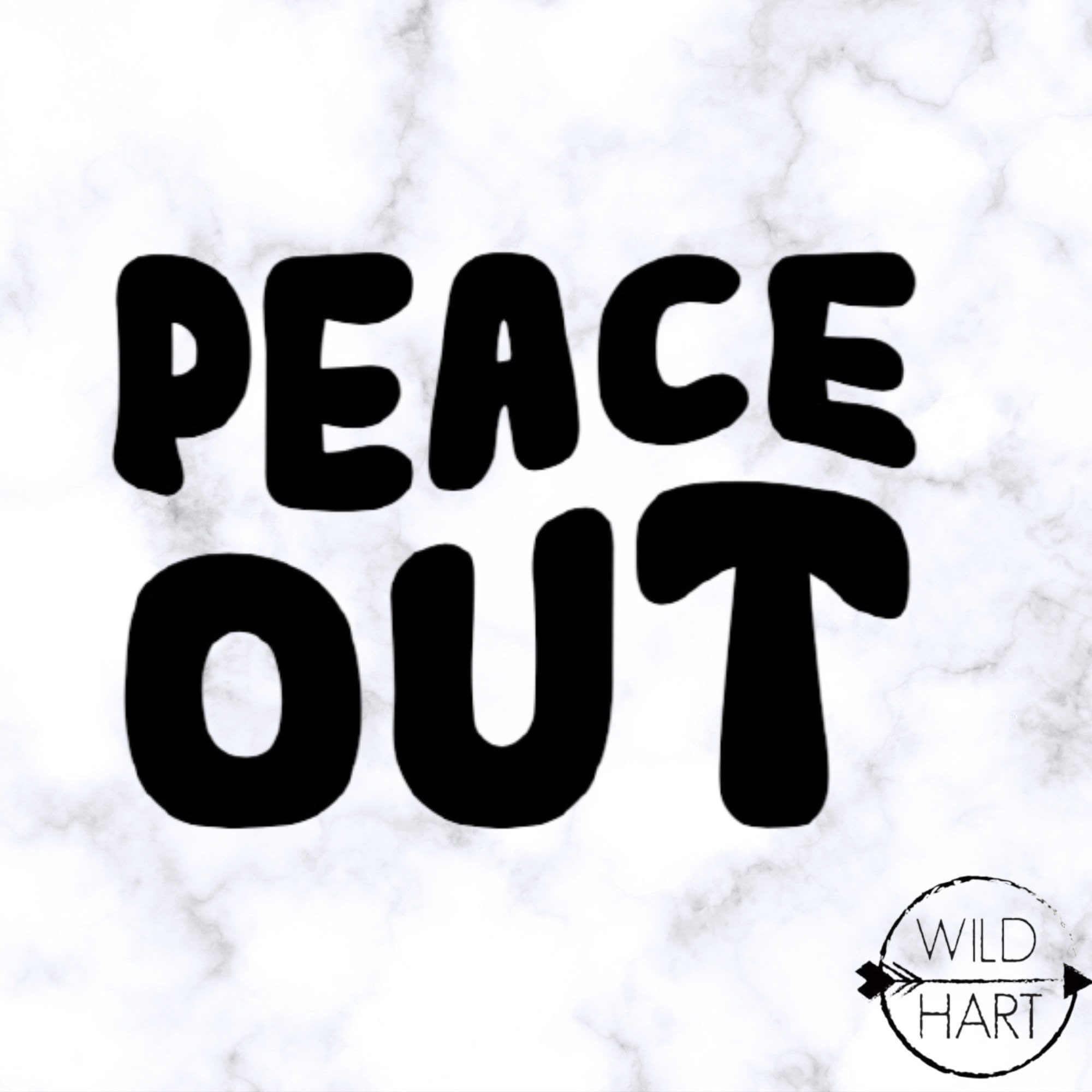 Peace Out Bitches Meme