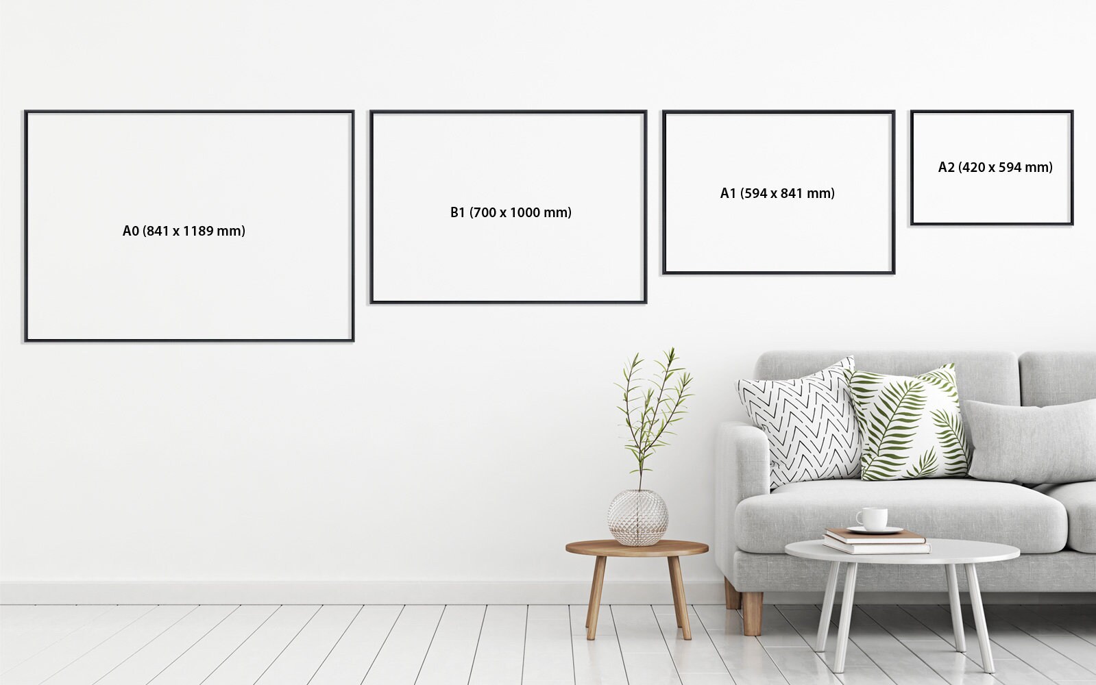 Aloe Polyphylla Spiral Aloe Floating Frame - Etsy