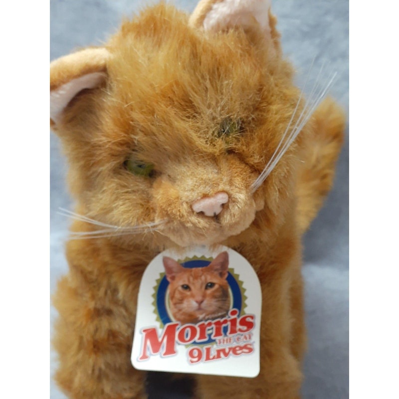 Morris the Cat - Etsy