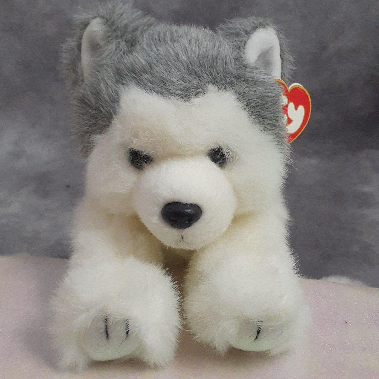 White Husky Teddy