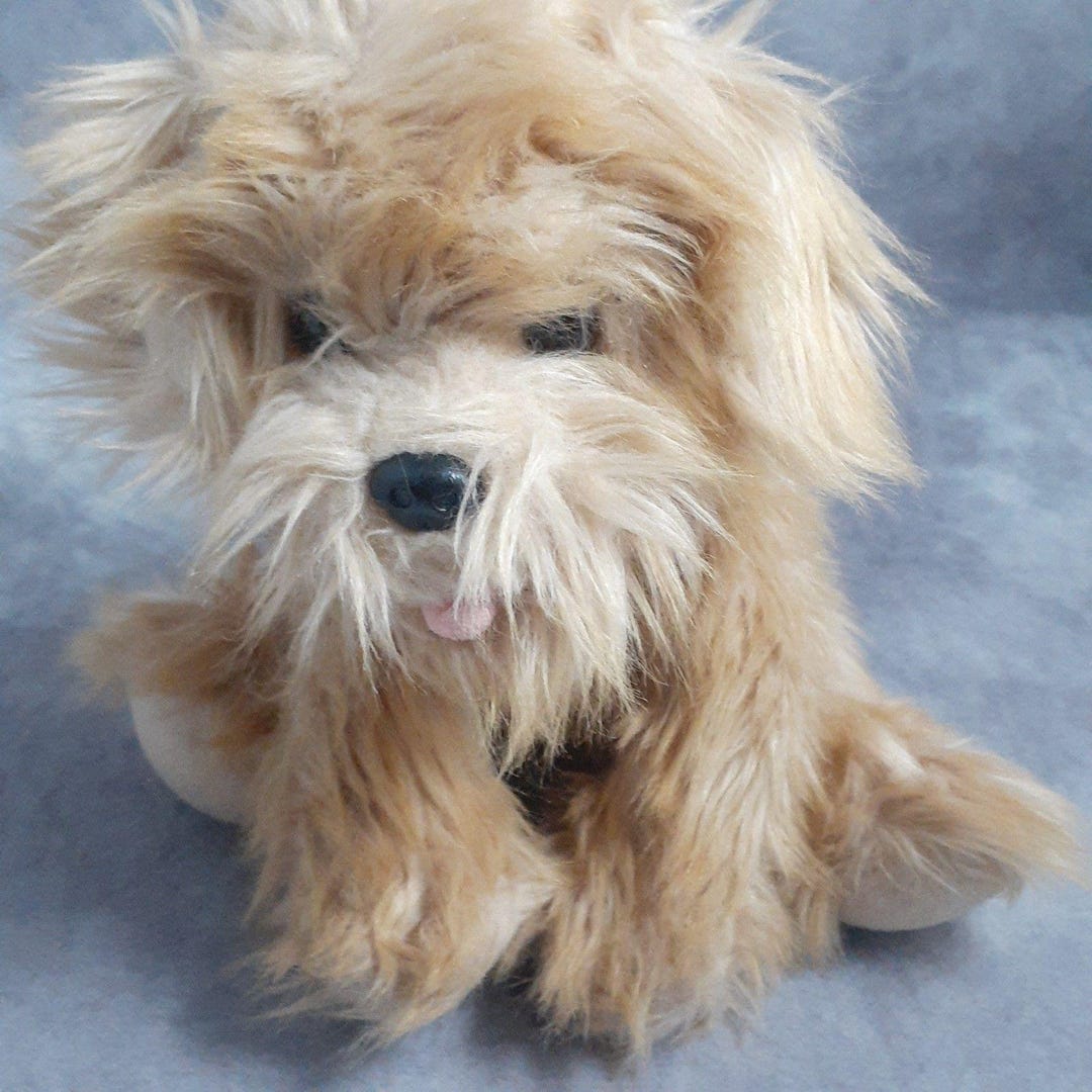 TY Classic "colonel" the Shaggy Long Haired Golden Terrier Plush Dog ...