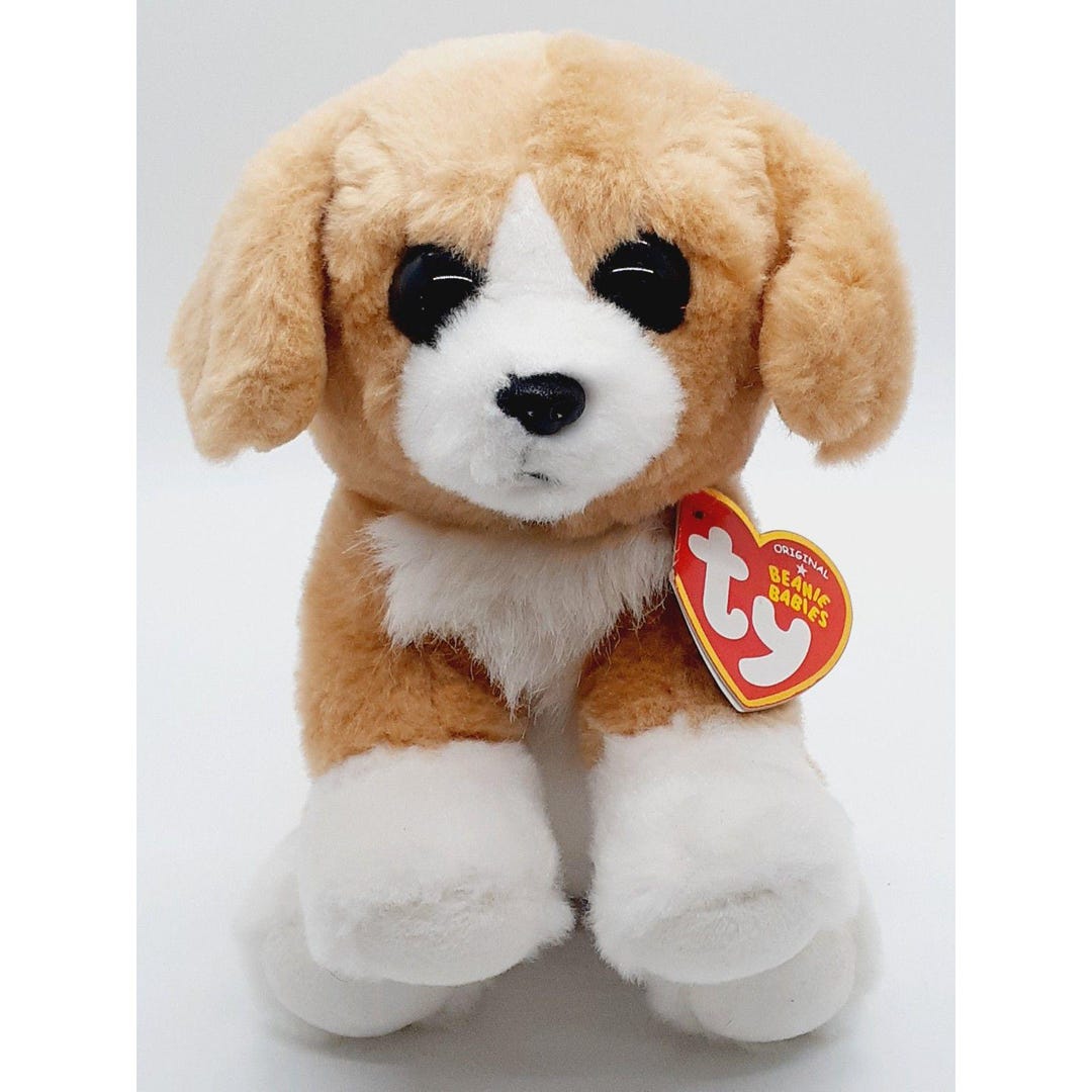 TY franklin the Tan and White Puppy Dog Beanie Boo Baby Rare Find - Etsy