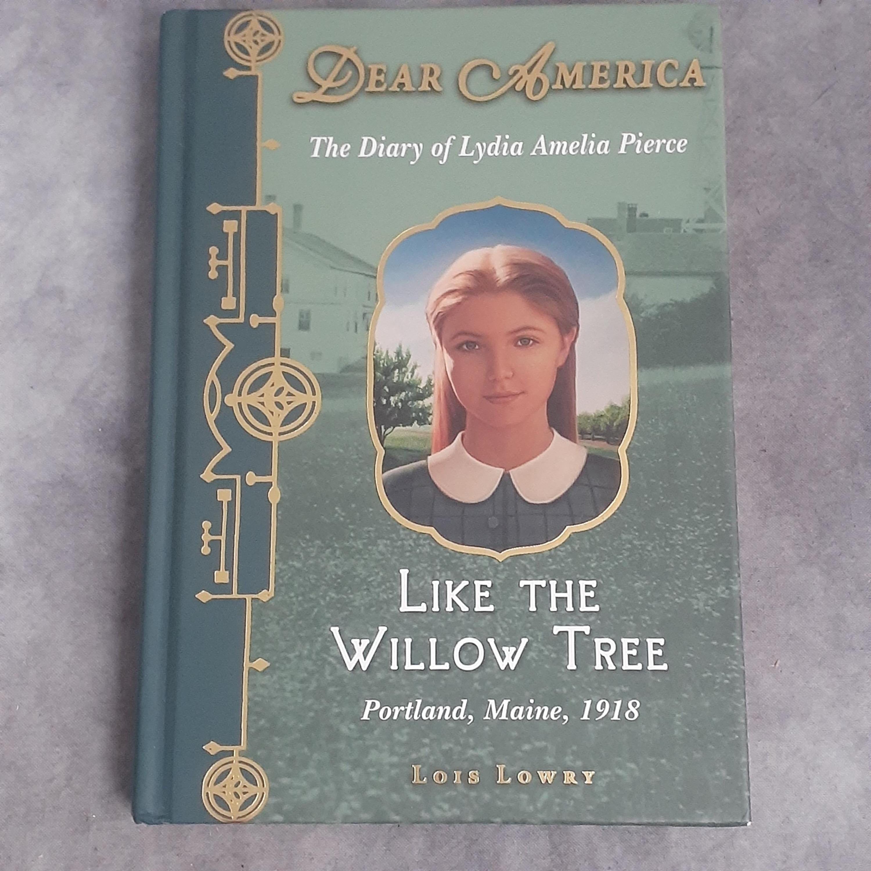 Scholastic "dear America" Diary Book Series - Historical Middle Reader ...