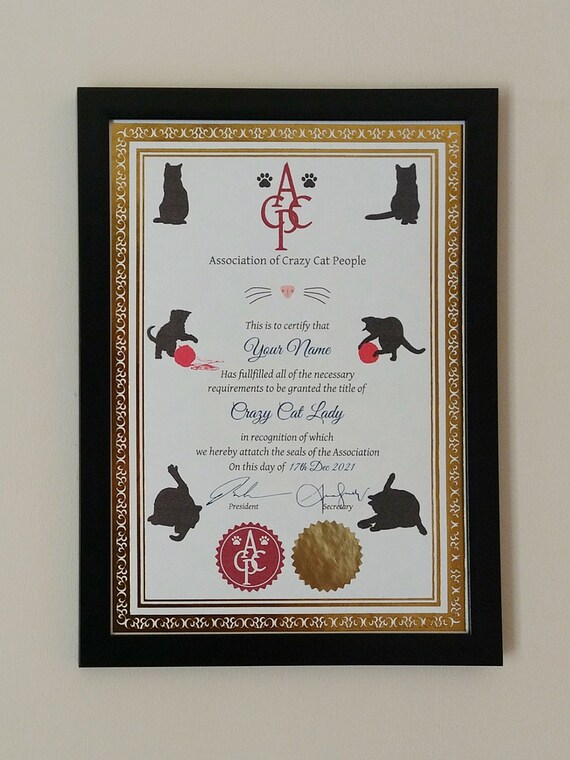 Paper & Party Supplies Paper Templates Novelty Certificate Crazy Cat ...