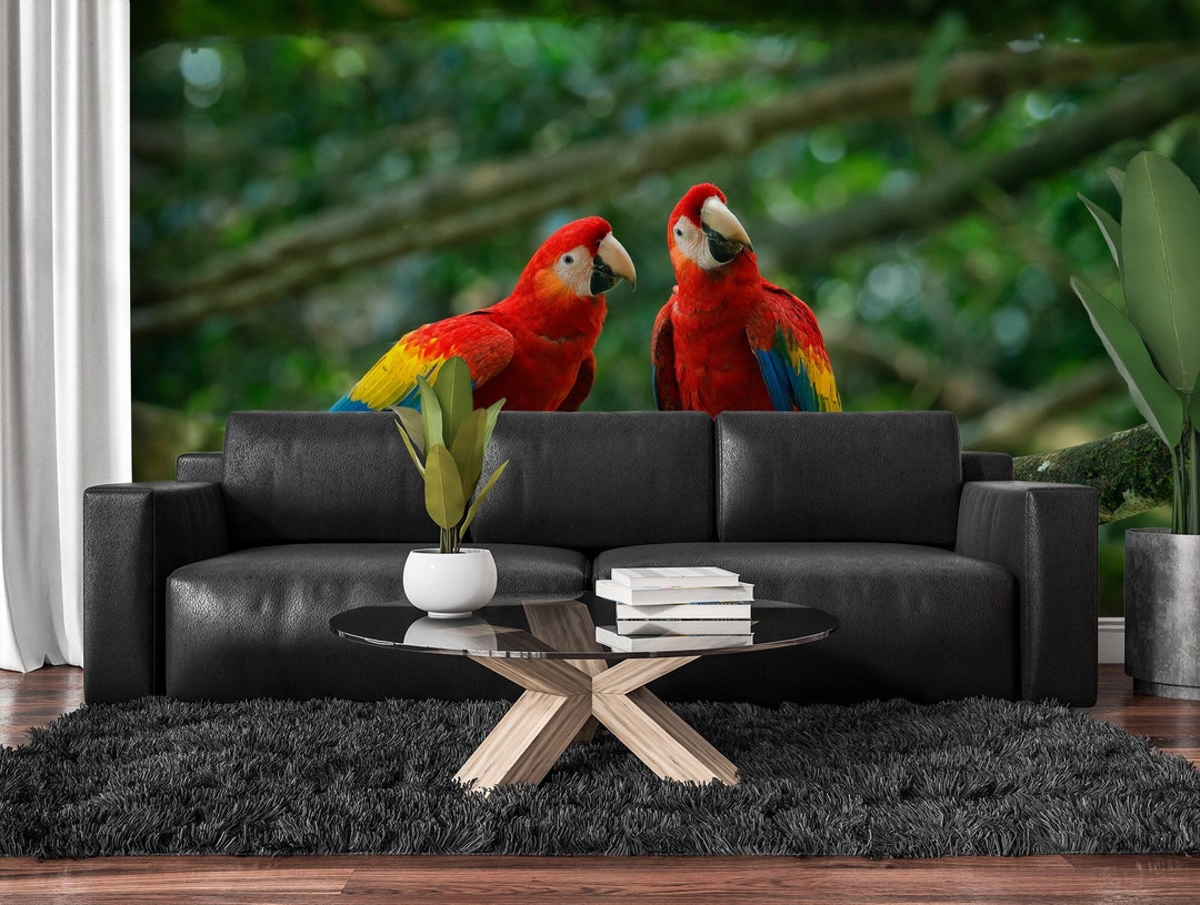Tropical Forest Wallpaper With Bird,red Parrot, Wall Mural, Self ...