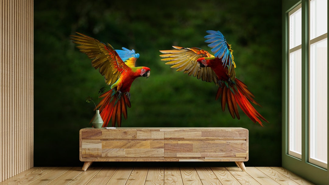 Photo Wallpaper, Red Parrot Bird in Forest, Self Adhesive (peel and ...