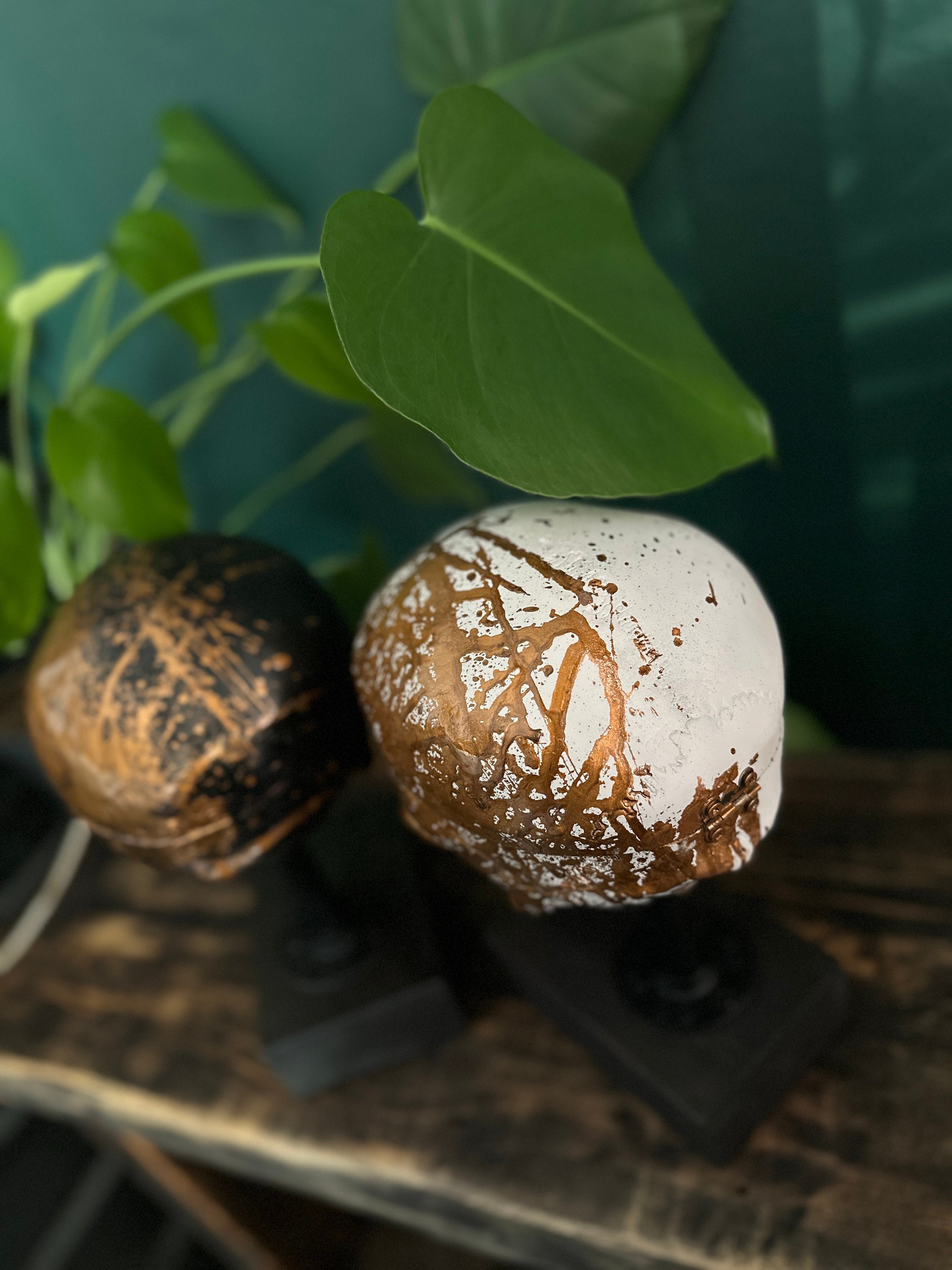 Realistic Skull Box / Jewelry Box / Black Skull Decor / Gothic Box ...