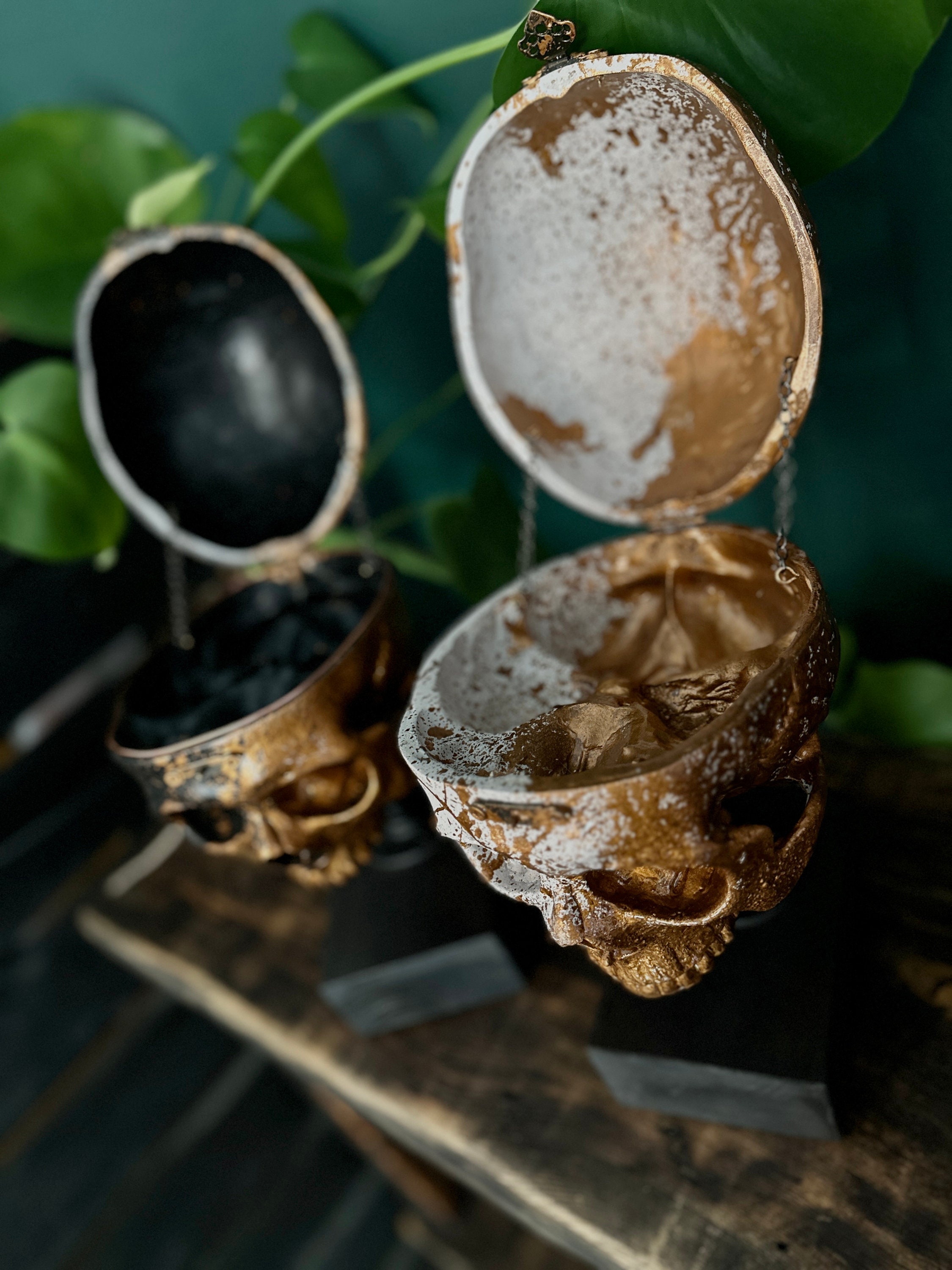 Realistic Skull Box / Jewelry Box / Black Skull Decor / Gothic Box ...