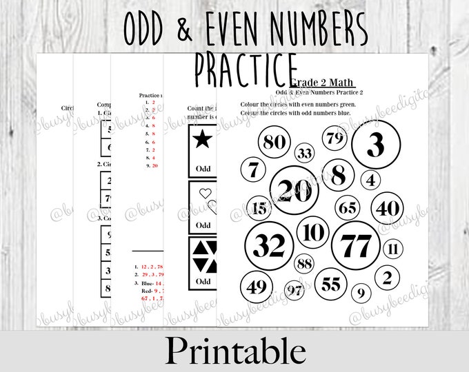 Grade 2-3 Math - Skip Counting Worksheet - DIGITAL DOWNLOAD , Math ...
